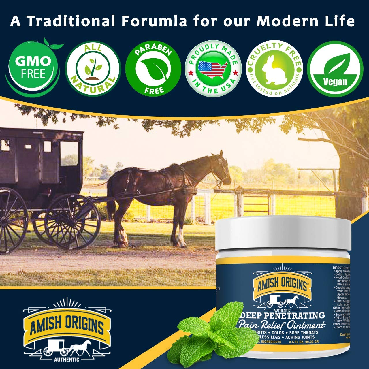 Amish Origins Deep Penetrating Pain Relief Ointment 7 oz - Medicated ...