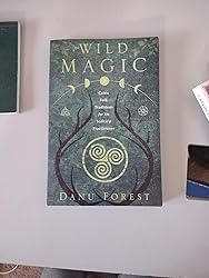 Wild Magic: Celtic Folk Traditions for the Solitary Practitioner ...