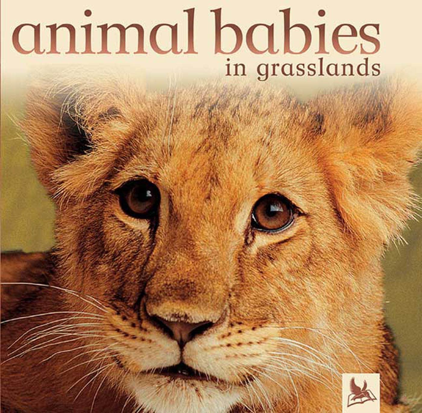Animal Babies in Grasslands: Jennifer Schofield: 9780753457894: Amazon ...