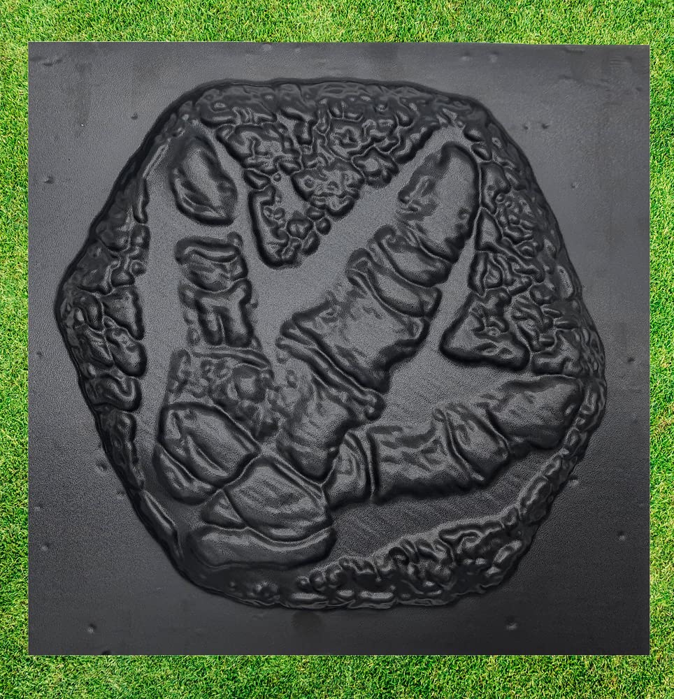 Dinosaur Footprint Casting Casting Dinosaur Footprints: Bringing Home