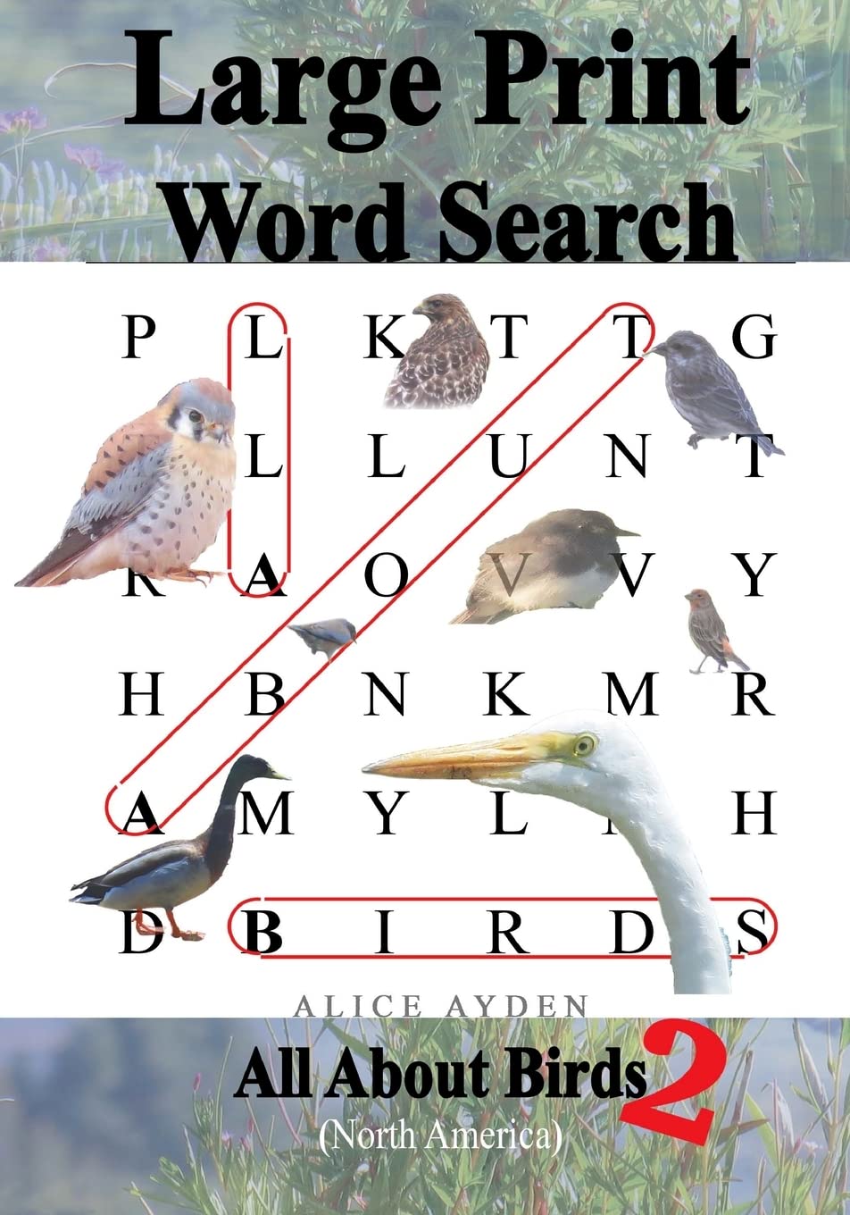Large Print Word Search: All About Birds (North America) 2: Ayden ...