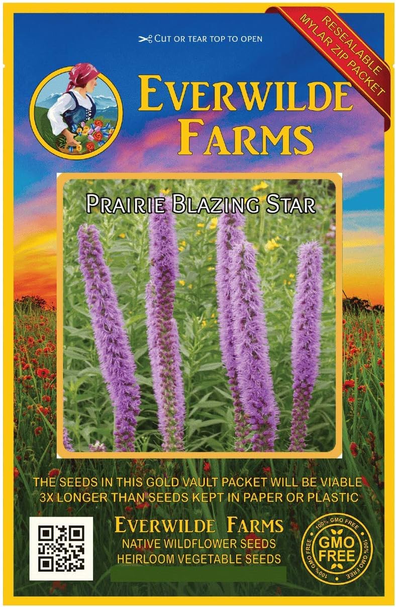 Amazon.com : Everwilde Farms - 300 Prairie Blazing Star Native ...
