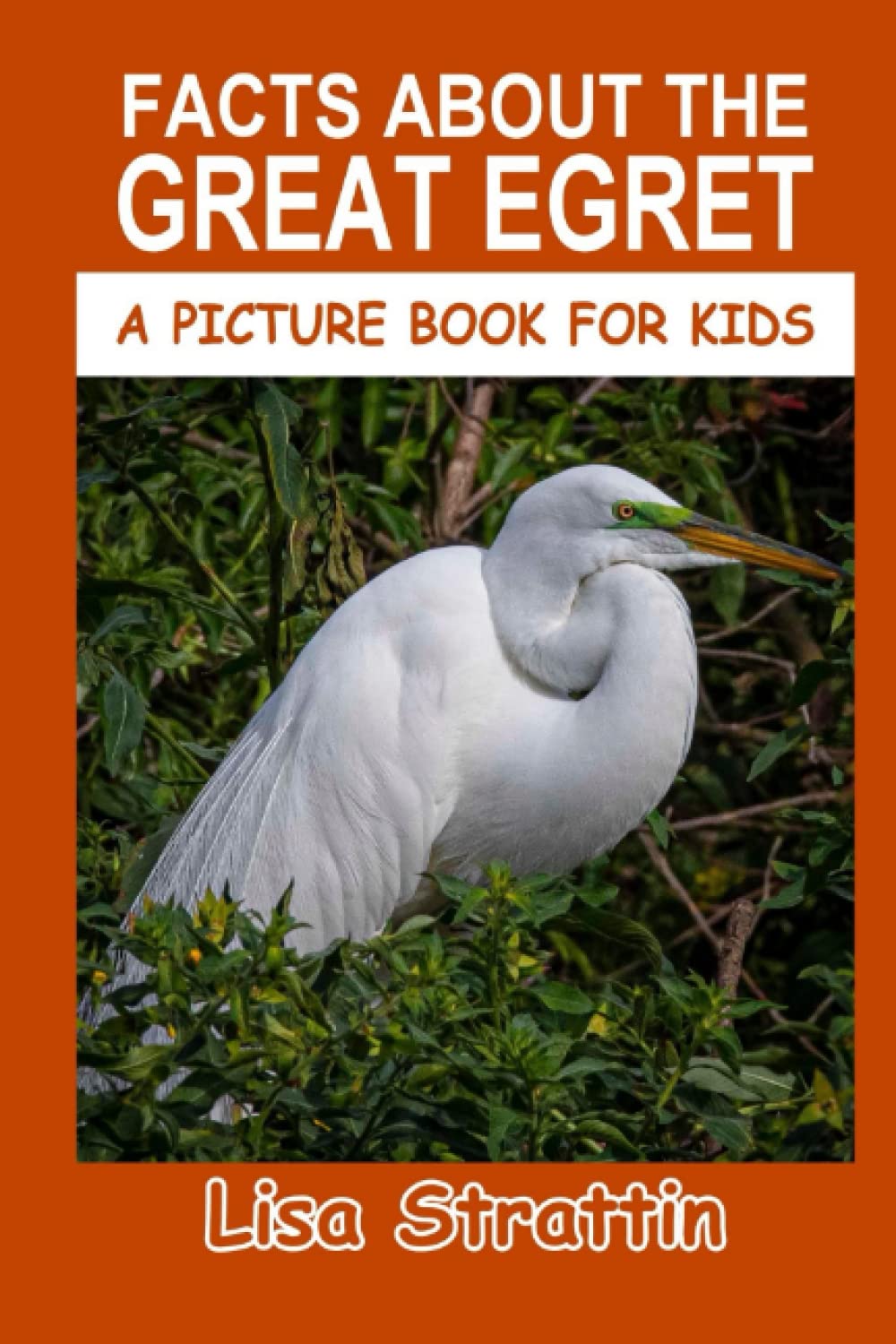 Facts About the Great Egret (A Picture Book For Kids)