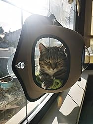 K&H EZ Mount Window Bubble Pod Features Look Out Bubble Window, Tan,27 ...