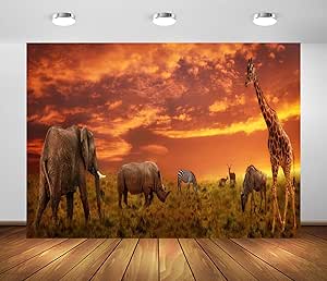 Amazon.com : BELECO 6x4ft Fabric African Safari Animals Backdrop Wild ...