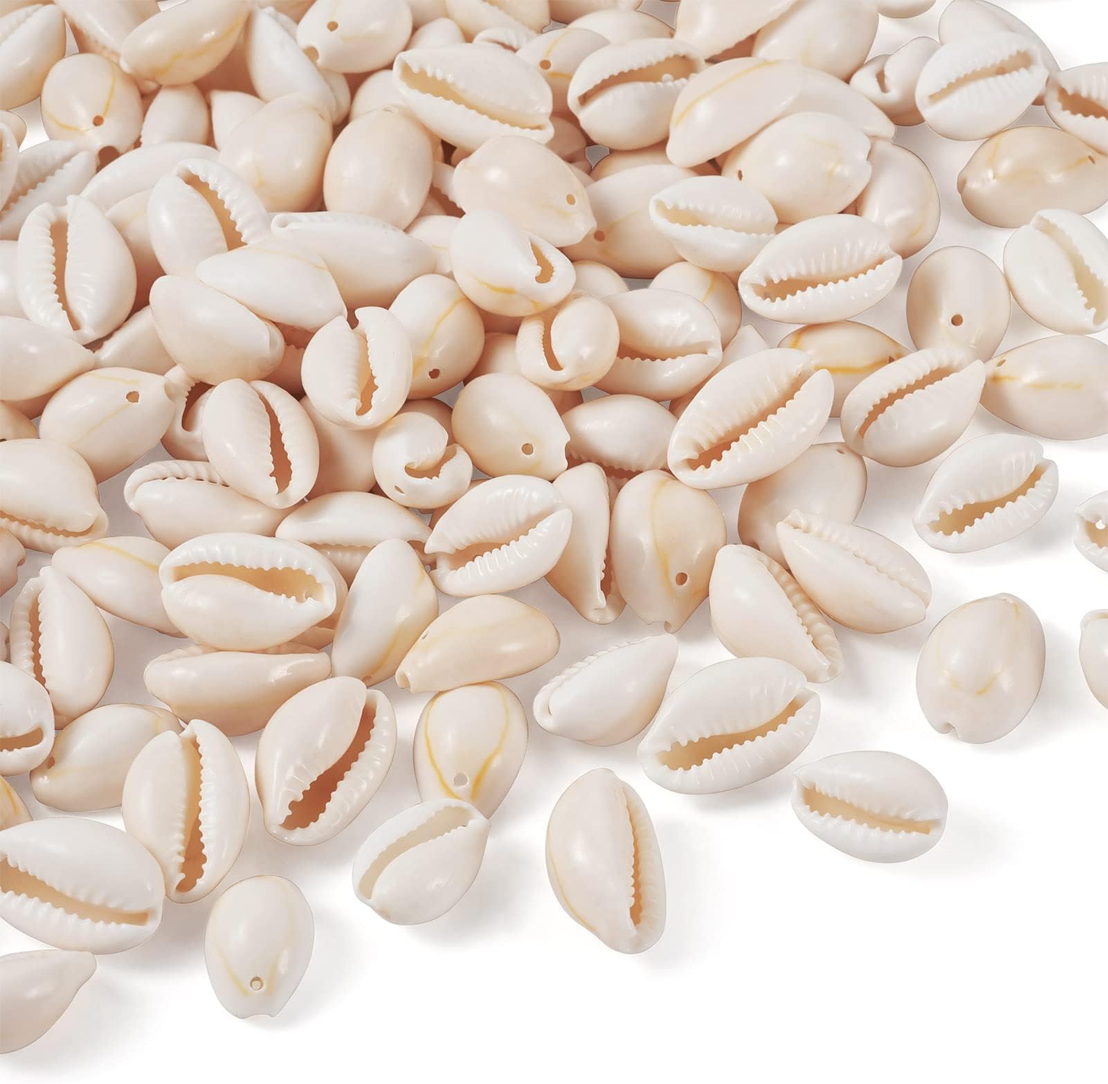 Amazon.com: HERZWILD Cowrie Shells Tiny Natural Yellow Sea Shell Cowry ...