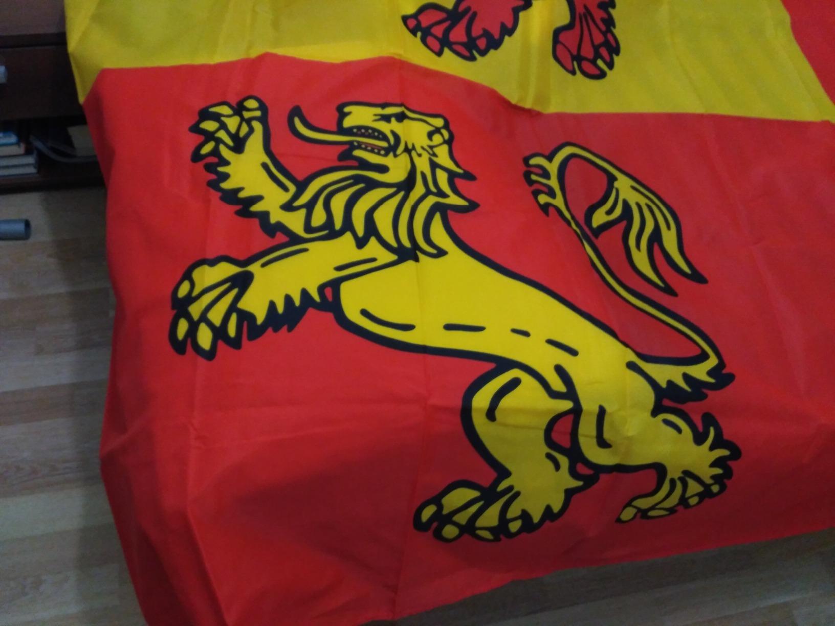 HUGE 8ft x 5ft Owain Glyndwr Wales Welsh Polyester Flag Banner : Amazon ...