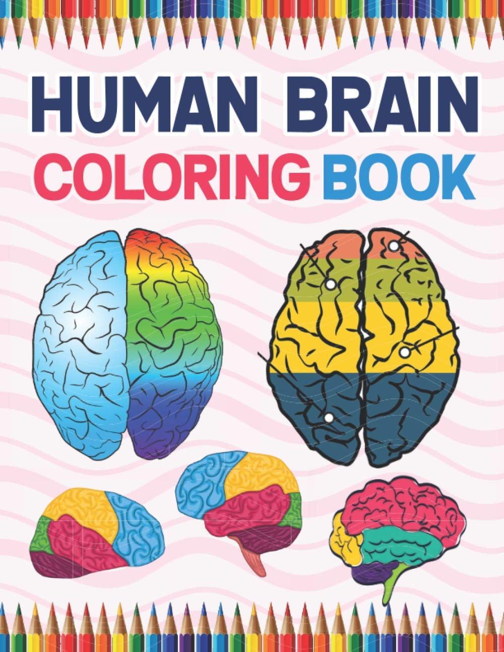 Buy Human Brain Coloring Book: Neuroanatomy Coloring Work book for ...