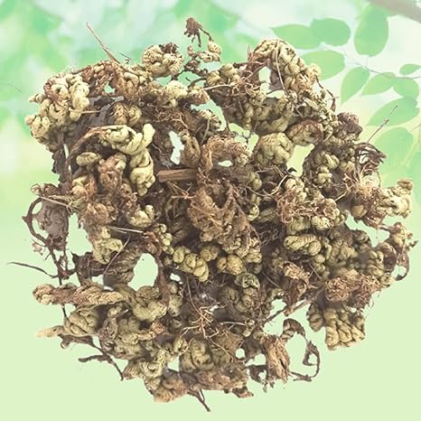 Buy Laxmana Booti-Selaginella Bryopteris-Raw Herbs-Sanjivani-Sanjeevni ...