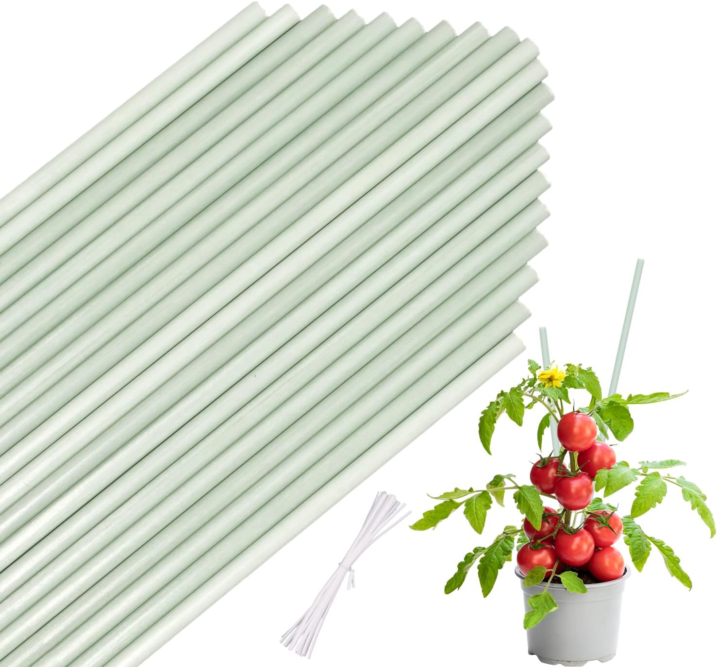 Amazon.com : 24 Pcs Adjustable Plant Stakes, Stackable Plant Support ...