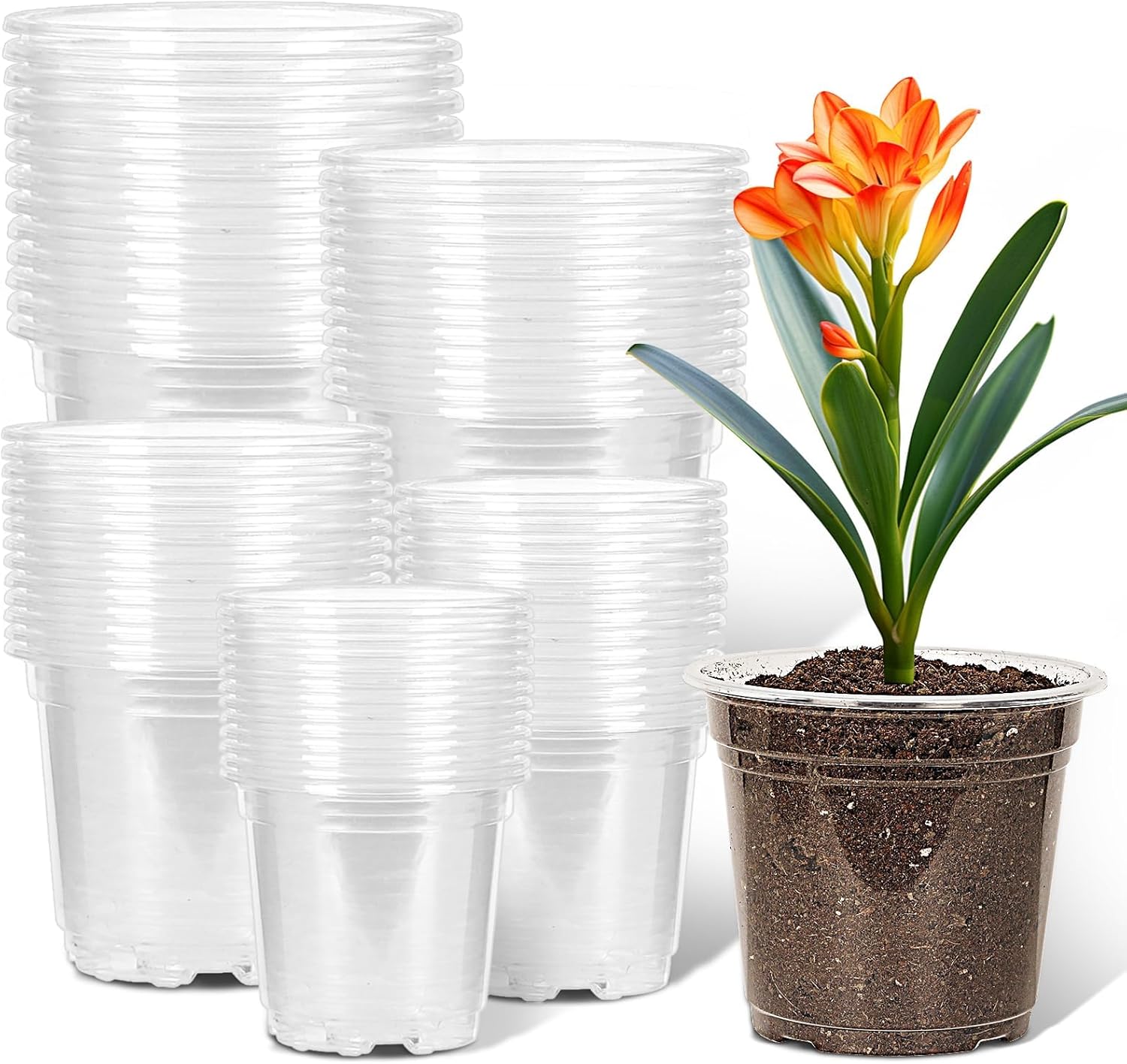Amazon.com: JERIA 50 Pack 3.5/4/5/6/7 Inch Clear Nursery Pots with ...