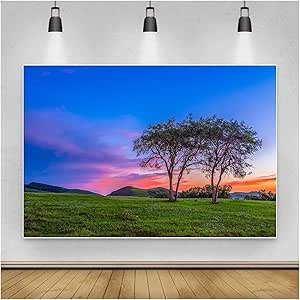Amazon.com: Fulvit for Backdrop for Photography Nature Theme Photo ...