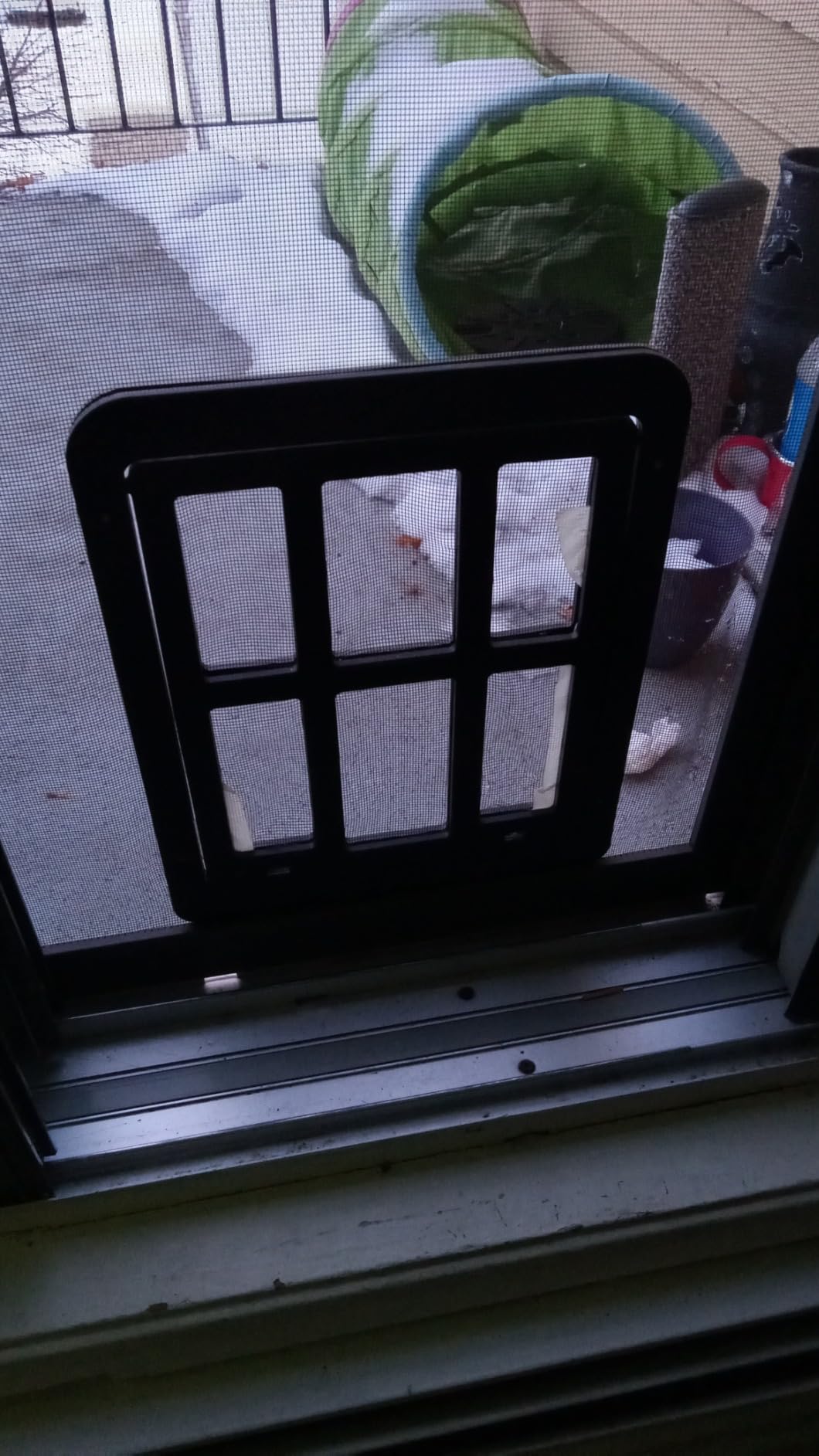 Large Cat Door (9.8" x 9.3" Exterior Dimensions) 4-Way Locking Indoor ...