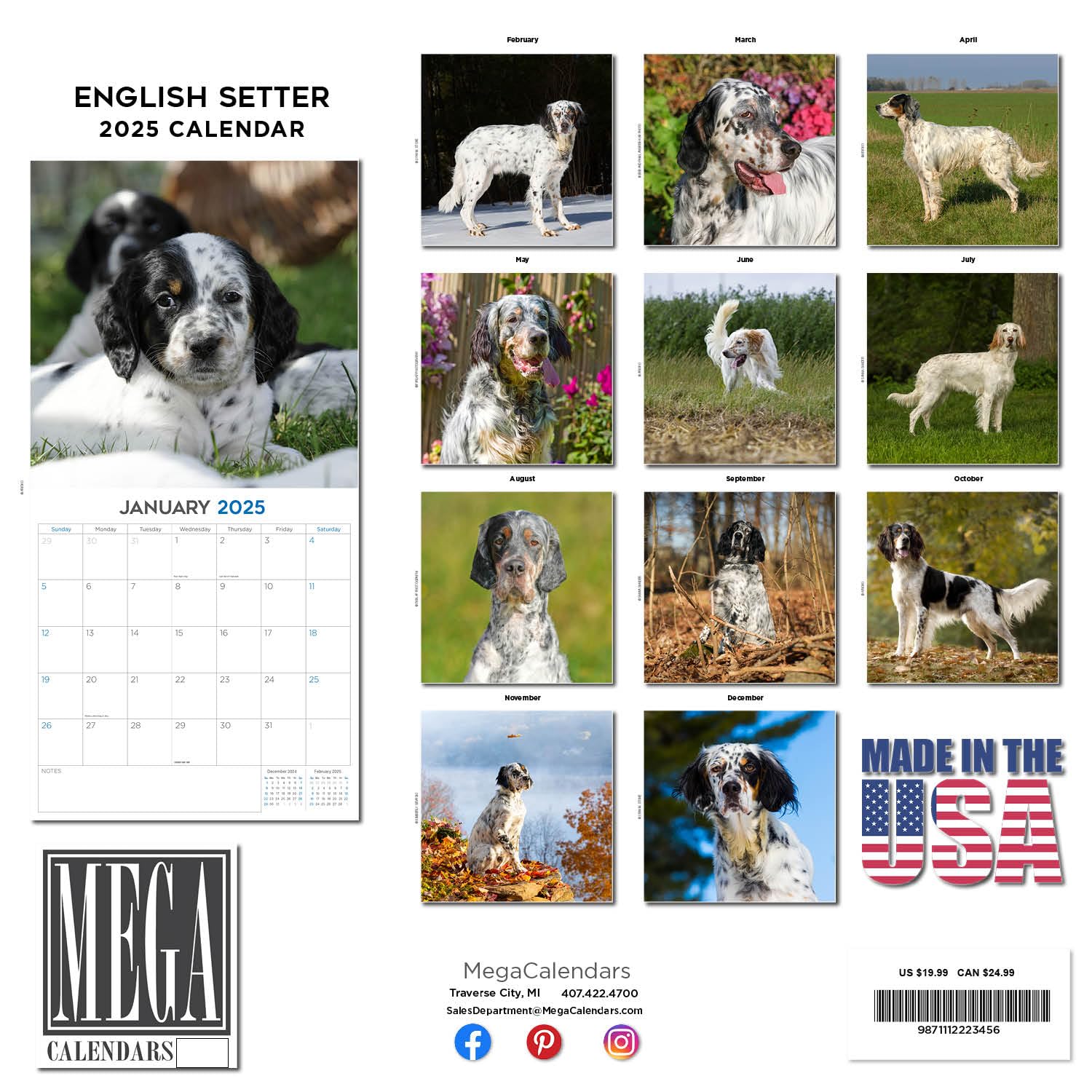 Snapklik.com : 2025 English Setter Calendar - Dog Breed Wall Calendar ...