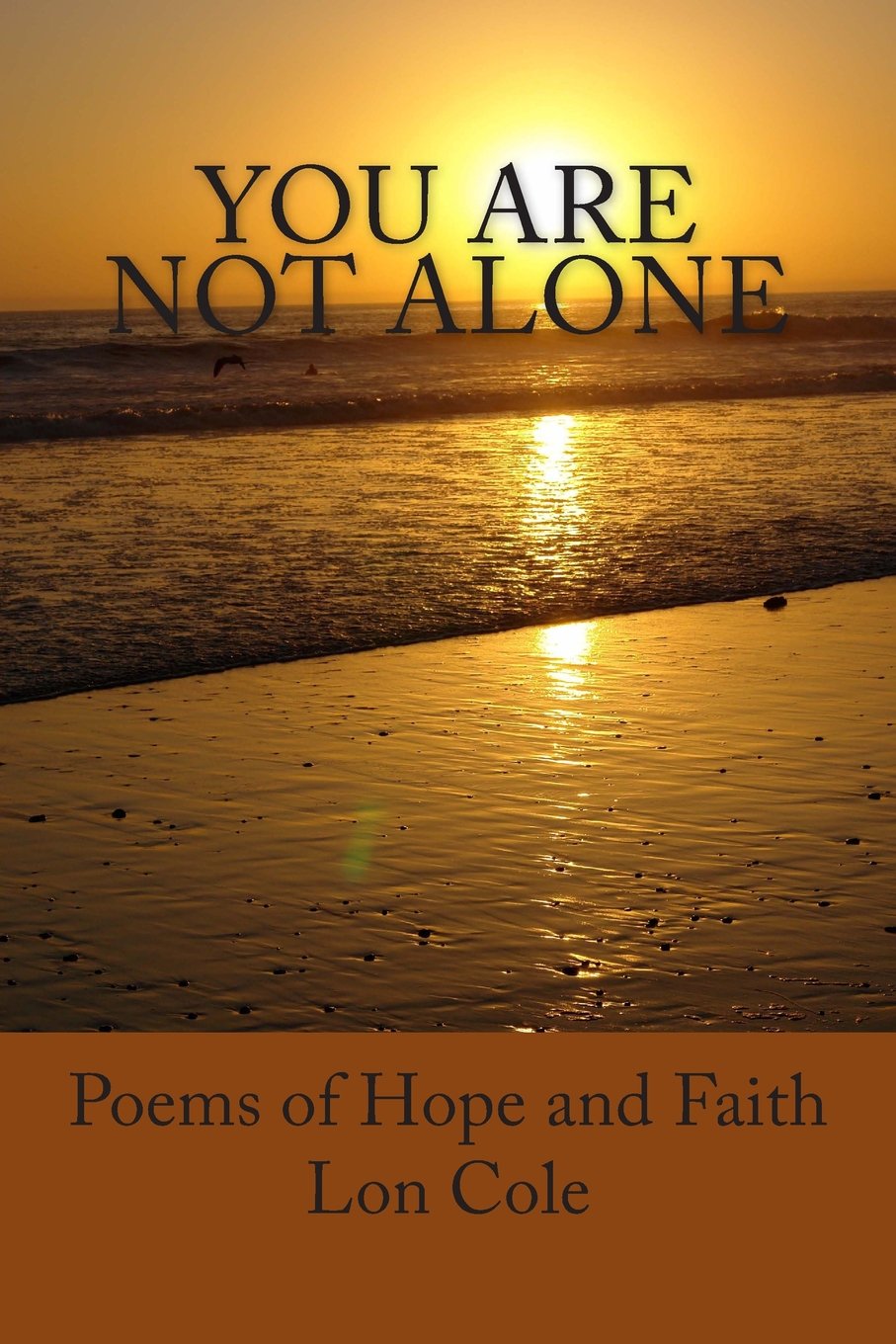 You Are Not Alone: Poems of Hope and Faith: Cole, Lon: 9780615799827 ...