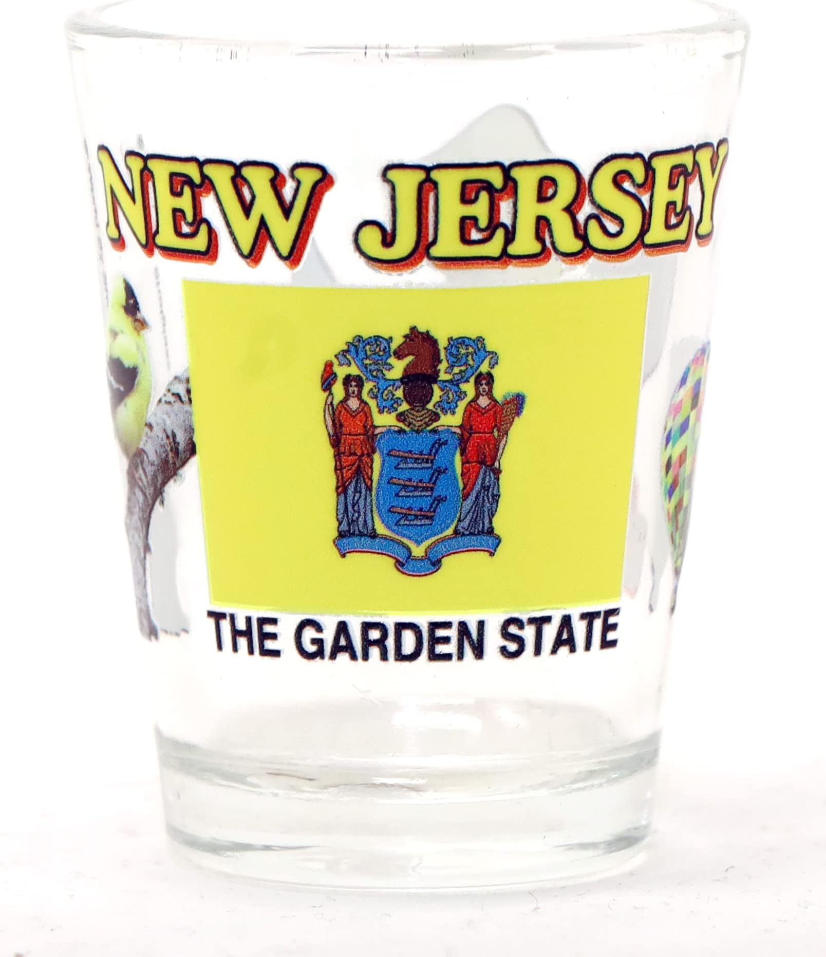 Amazon.com | Atlantic City New Jersey Great American Cities Collection ...