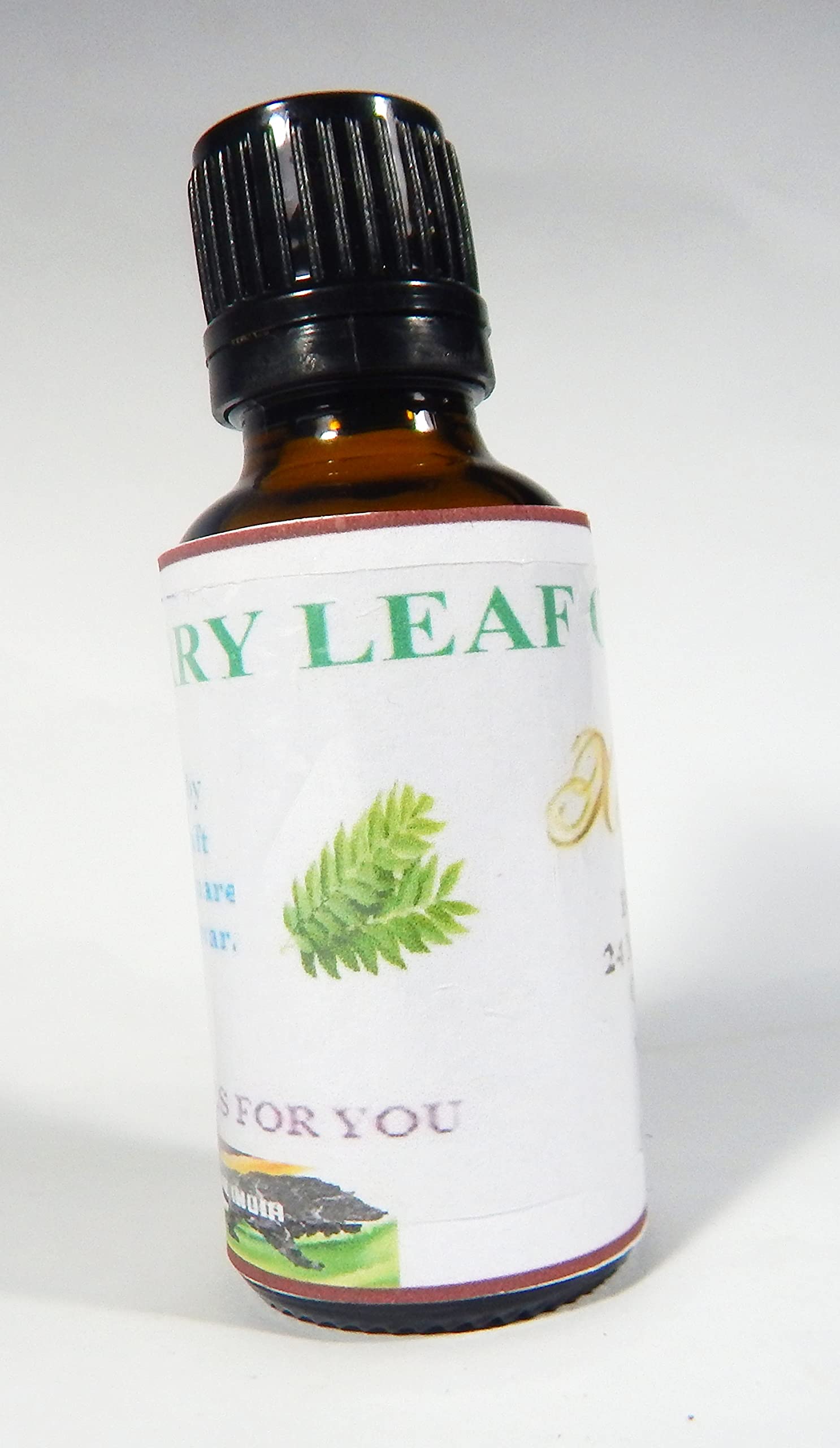 Buy Xetomos Sanay Sonamukhi Patte SONAMUKHI SENNA LEAF essential oil ...