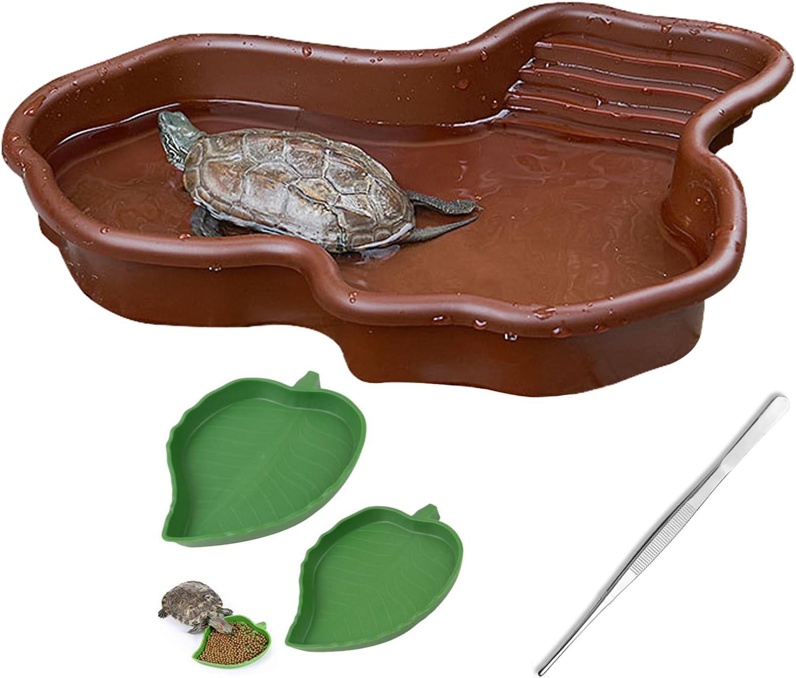 Amazon.com : 5 Pcs Tortoise Water Dish Set,Gray Tortoise Water Dish ...