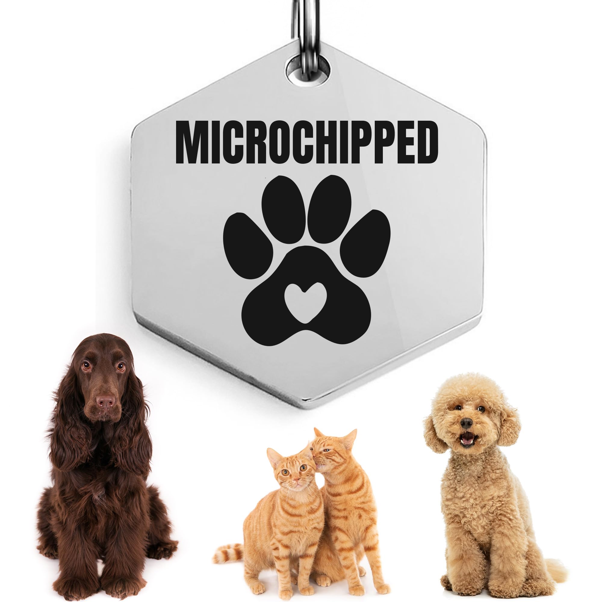 Amazon.com: Universal Pet Tag Microchipped Pet Notation Fits All Collar ...