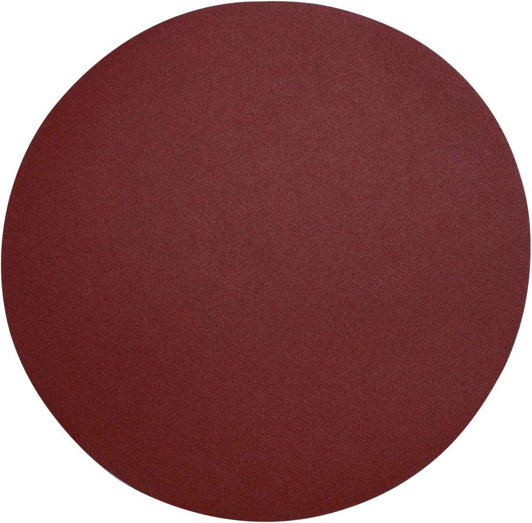 12 in. 60 Grit Hook & Loop Heavyweight F wt. Paper Sanding Discs ...
