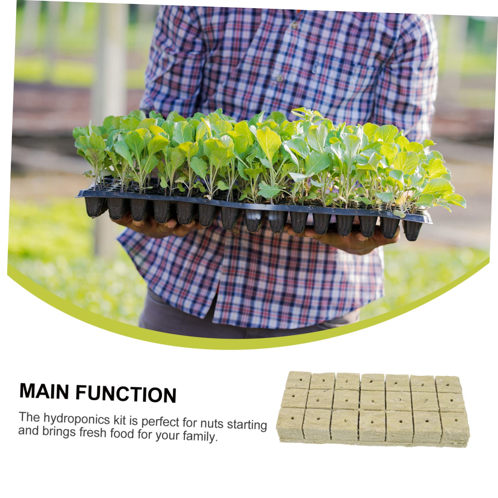 Hydroponic Seedling Nutes