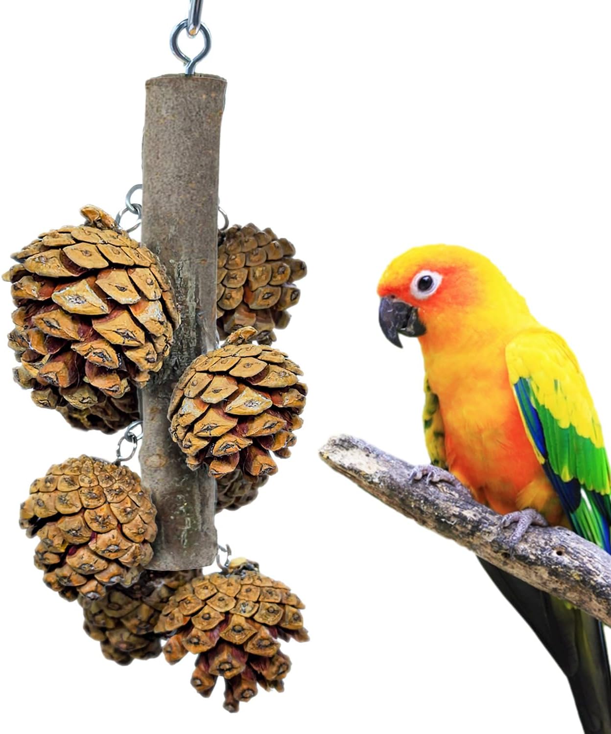 Wesco Pet Mini Bird Kabob Shreddable Bird Toy : Amazon.co.uk: Pet Supplies