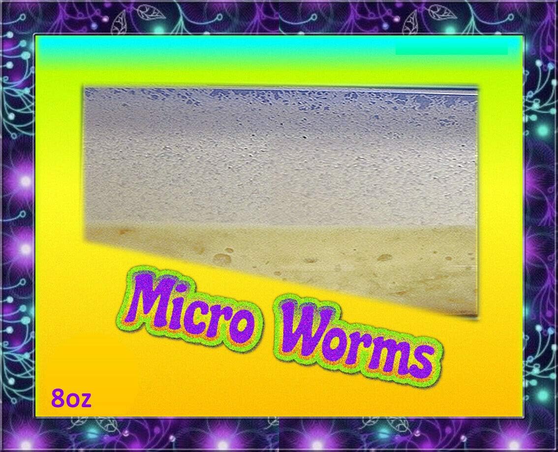 Amazon.com: Insectsales.com Micro Worm Culture (Live 8 oz.) - (1) : Pet ...