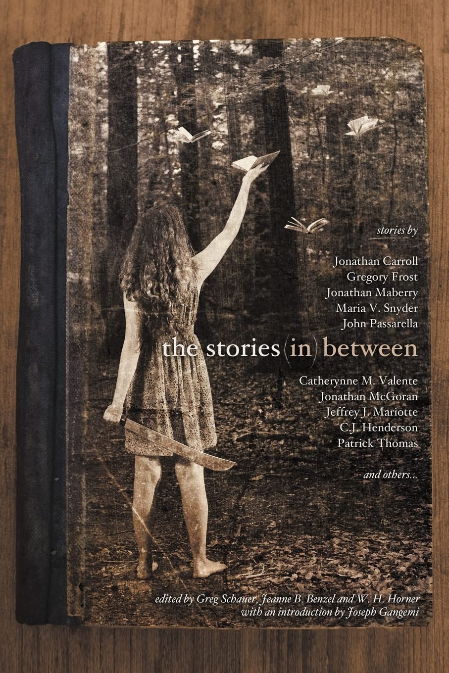The Stories in Between: A Between Books Anthology: Jonathan Carroll ...