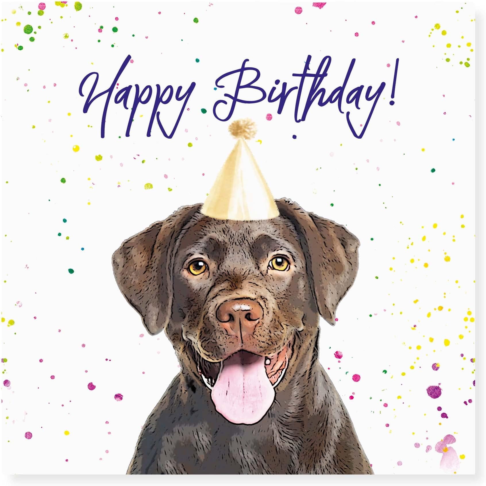 Chocolate Labrador, Dog Birthday Card : Amazon.co.uk: Stationery ...
