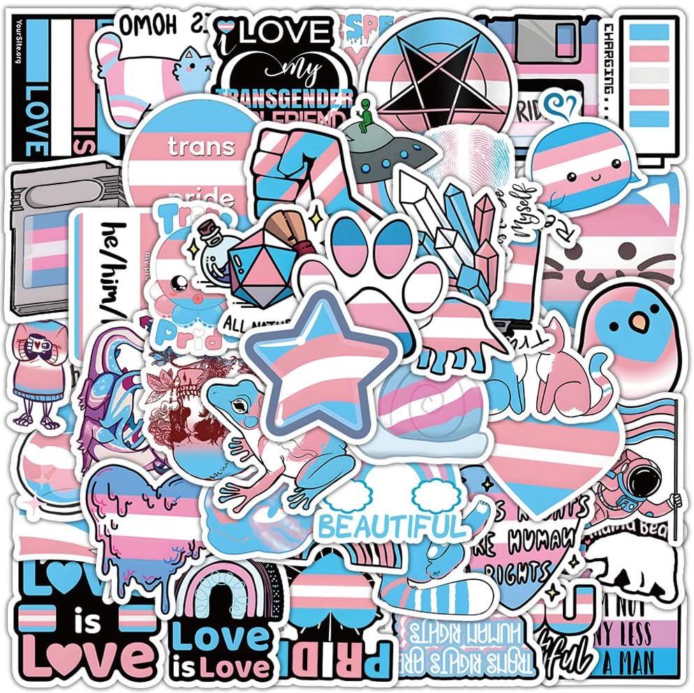 Amazon.com: 60pcs Transgender Pride Stickers, LGBT Pride Vinyl Stickers ...