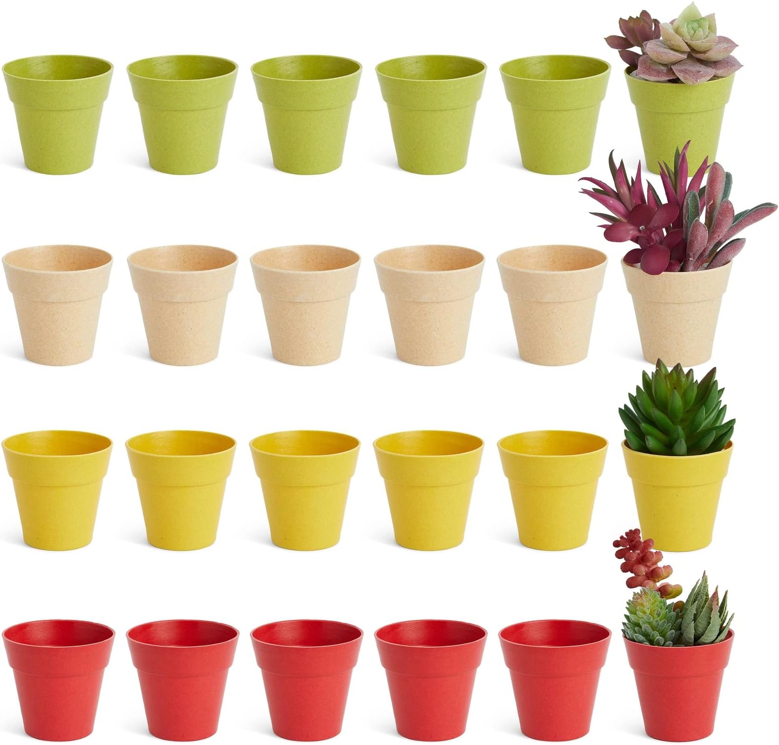 Amazon.com: Juvale 24 Pack Tiny Plastic Pots for Plants 1.5 Inch, Mini ...