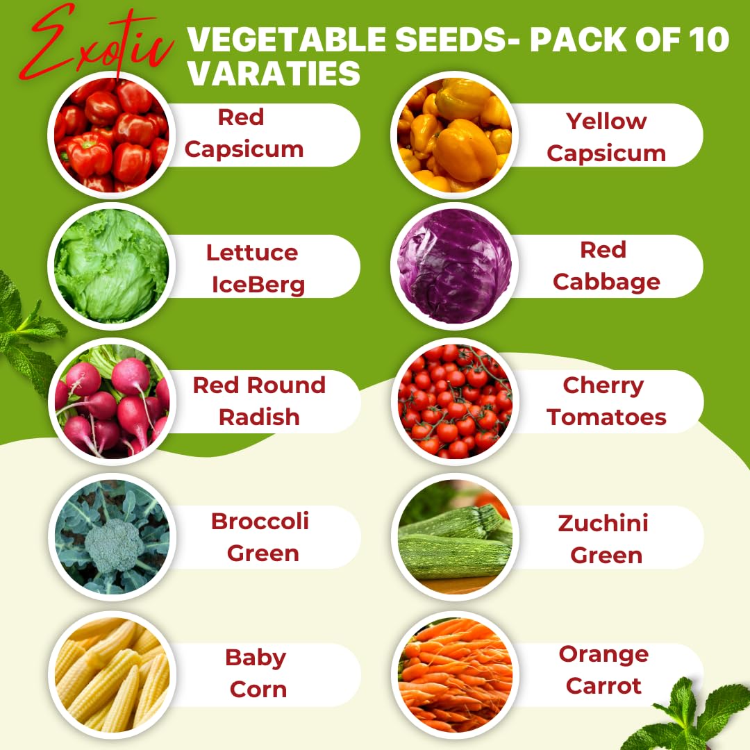 Exotic Vegetables Names