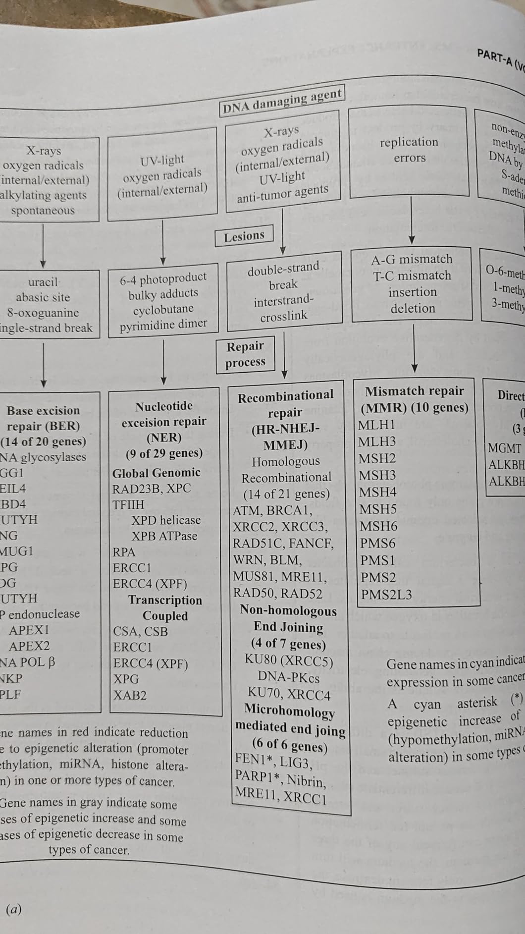 PW Mega Solution Series Biotechnology Biochemistry Microbiology Volume ...