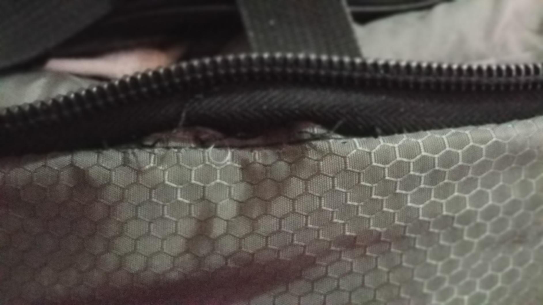 Amazon.com | TPRC Aeros 21-Inch Softside Rolling Backpack, Olive Green ...