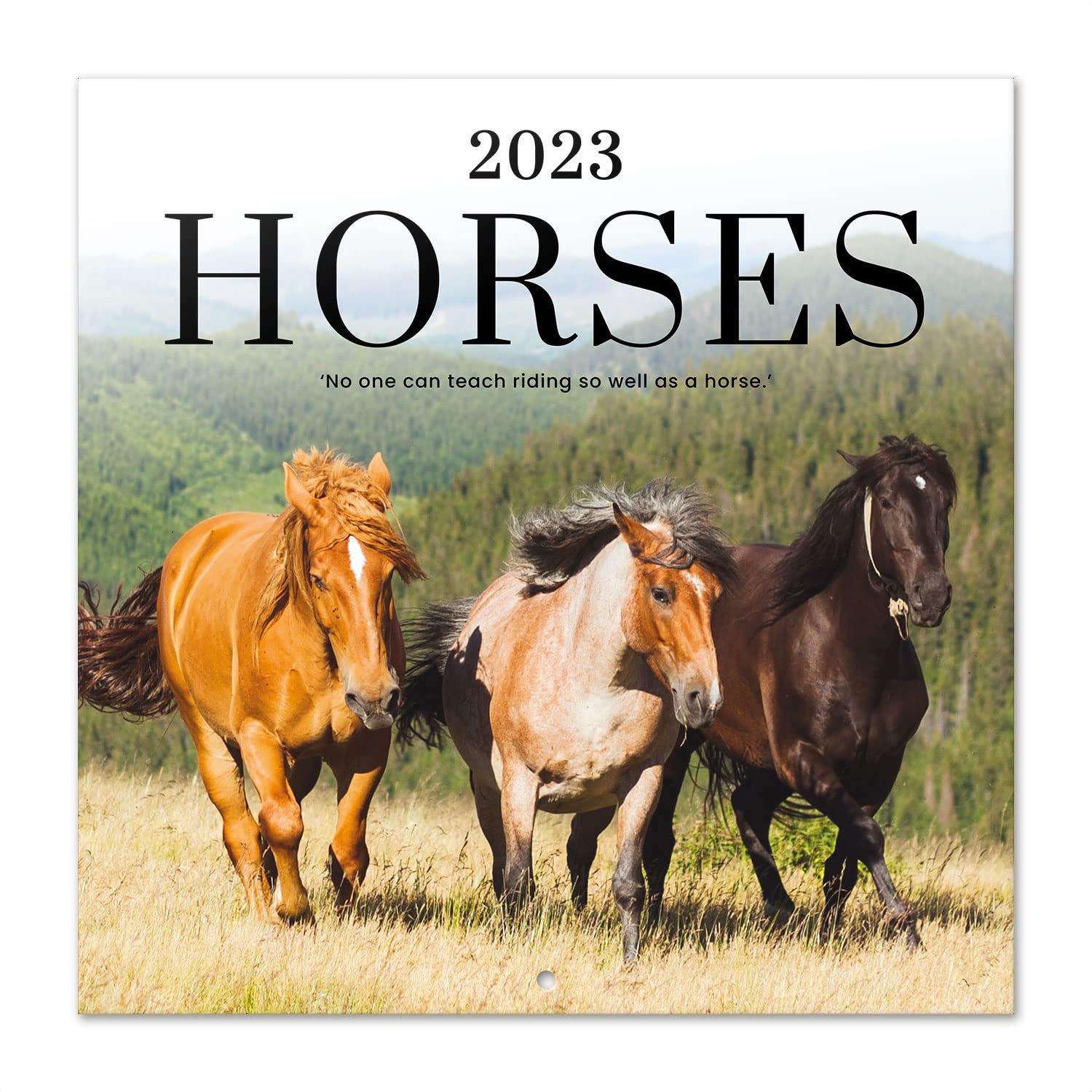 Buy Official Horses Wall 2023 12 X 12 FSC 12 Month Planner Square Buy Official Horses Wall 2023 12 X 12 FSC 12 Month Planner Square
