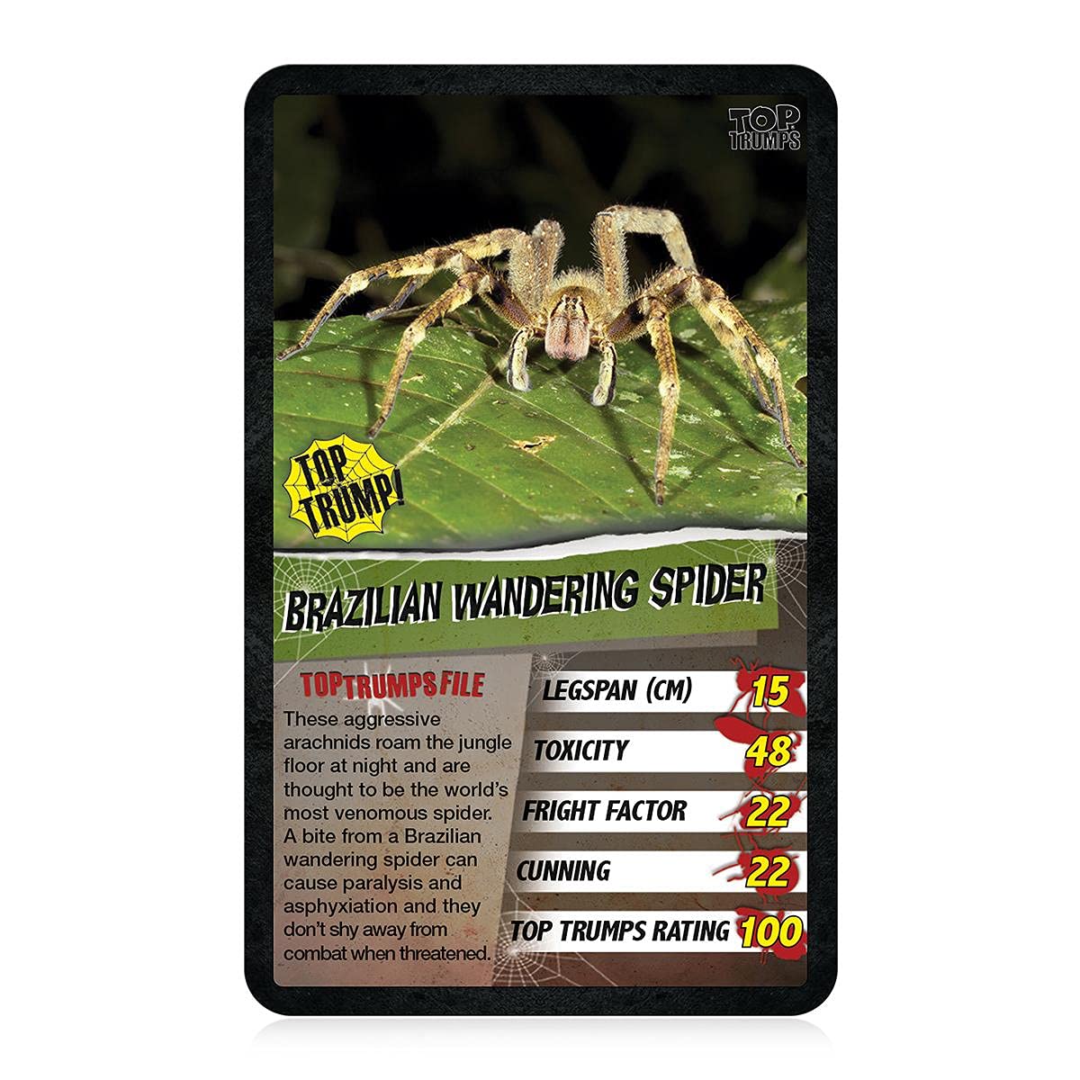 Snapklik.com : Spiders Classics Card Game, Discover Facts About The ...