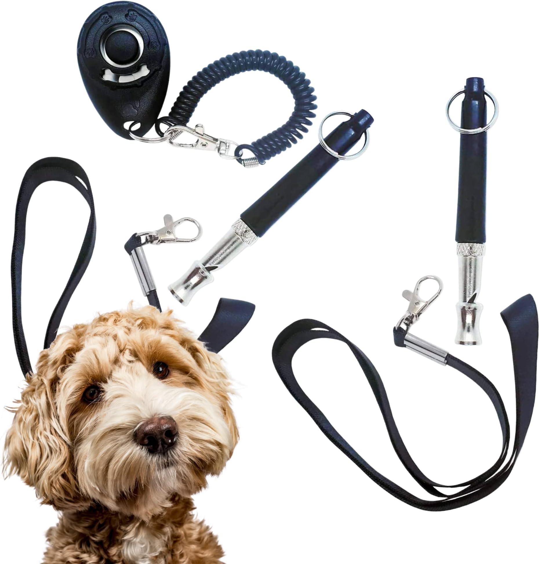 Amazon.com : HoAoOo Pet Training Clicker with Wrist Strap - Dog ...