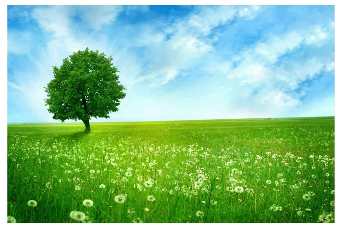Go Green Wallpapers Desktop