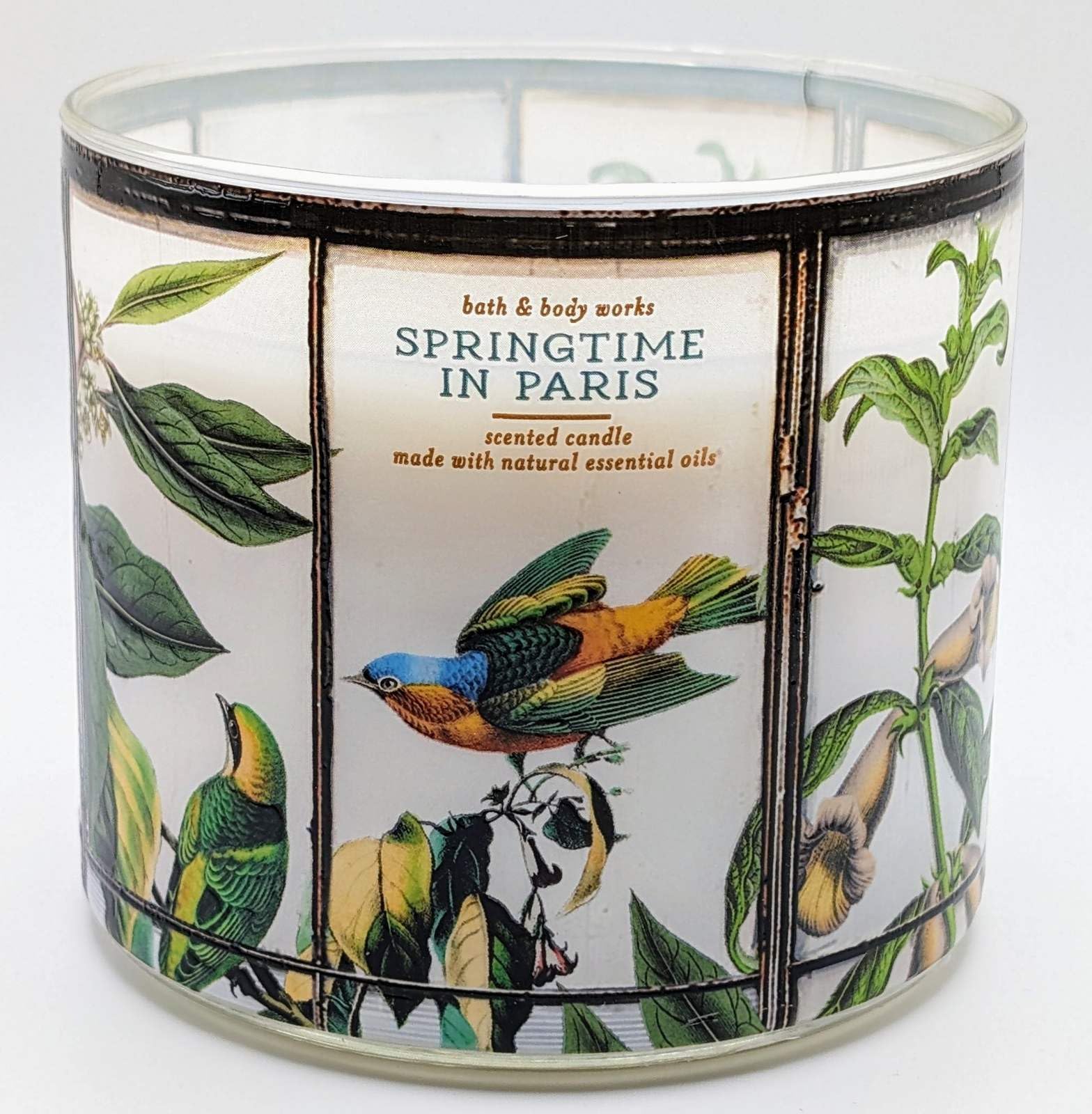 Amazon.com: Generic Springtime in Paris Candle 3 Wick w Natural ...