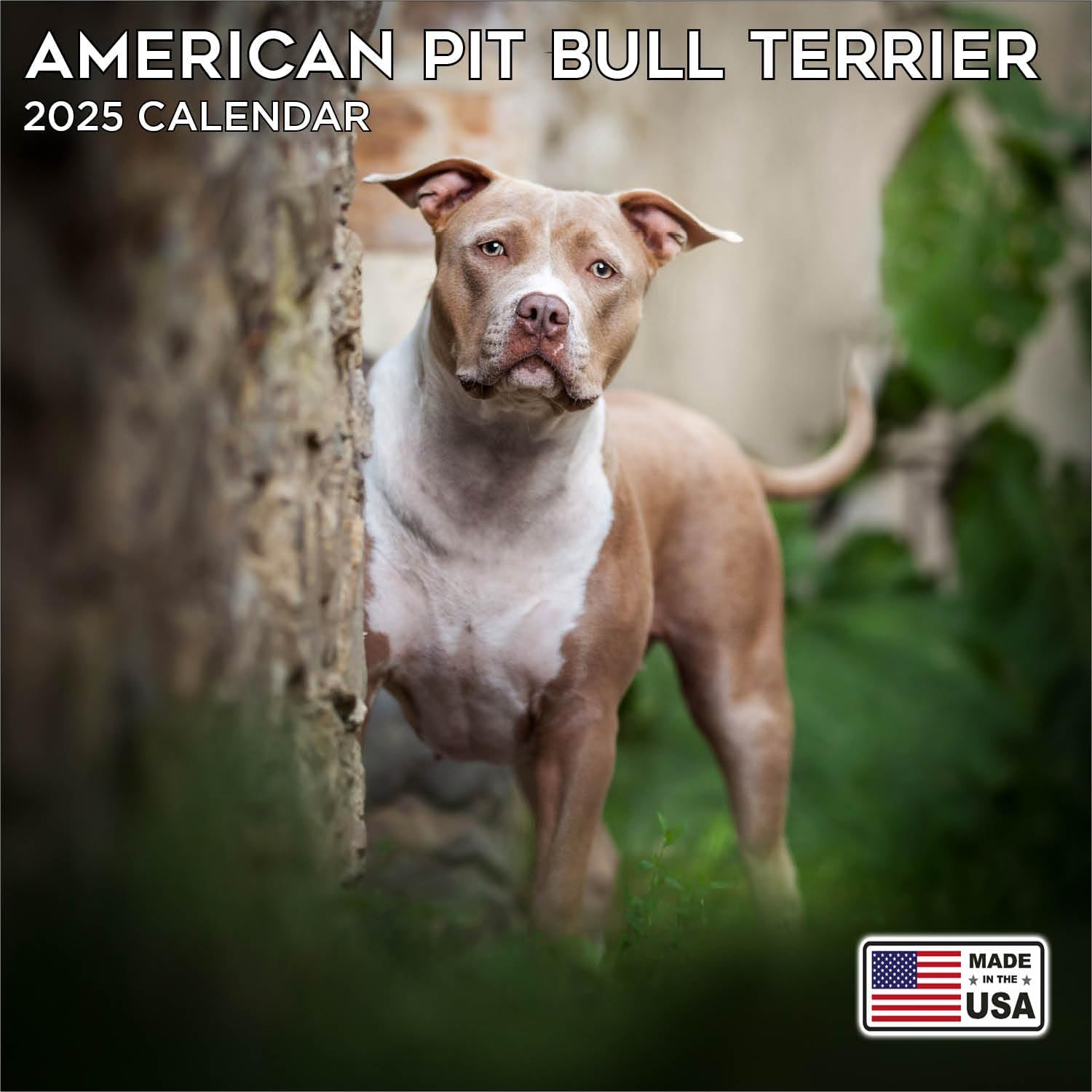 MegaCalendars - American Pitbull Terrier Calendar 2024 - Dog Breed Wall ...