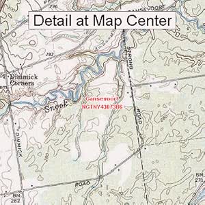 Amazon.com : USGS Topographic Quadrangle Map - Gansevoort, New York ...