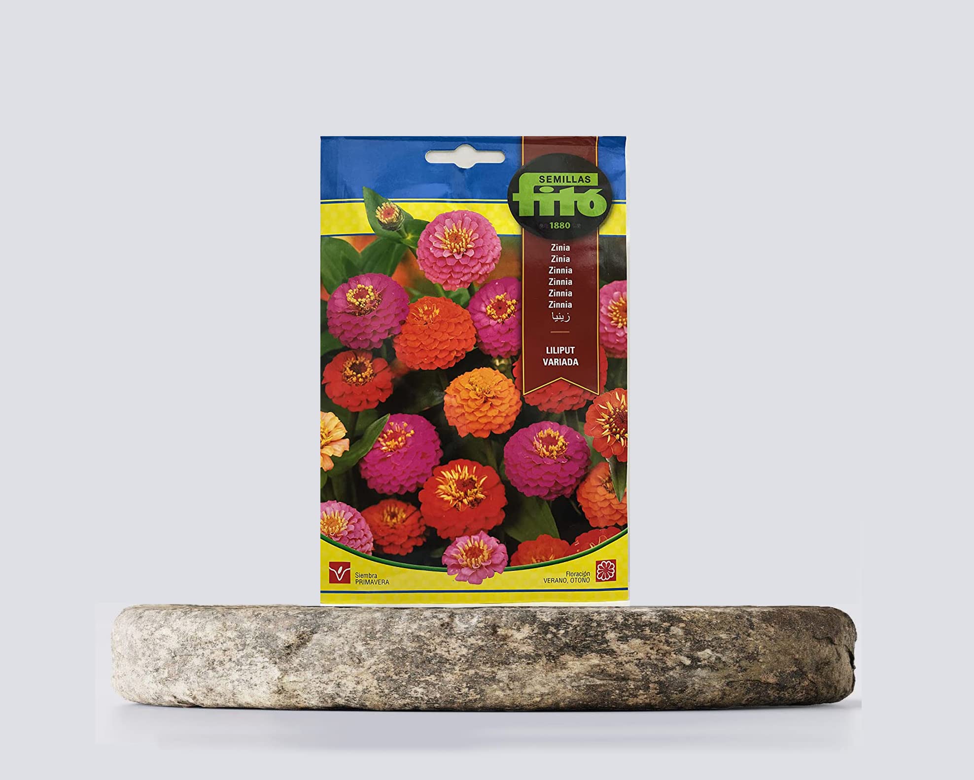 Buy Ritaj FITO® ZINNIA LILIPUT VARIADA – بذور زینیا Online at ...