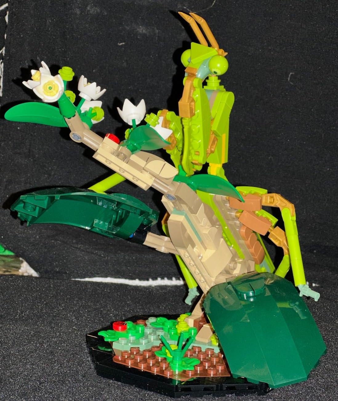 Amazon.com: LEGO Ideas The Insect Collection, Fun Gift for Nature ...