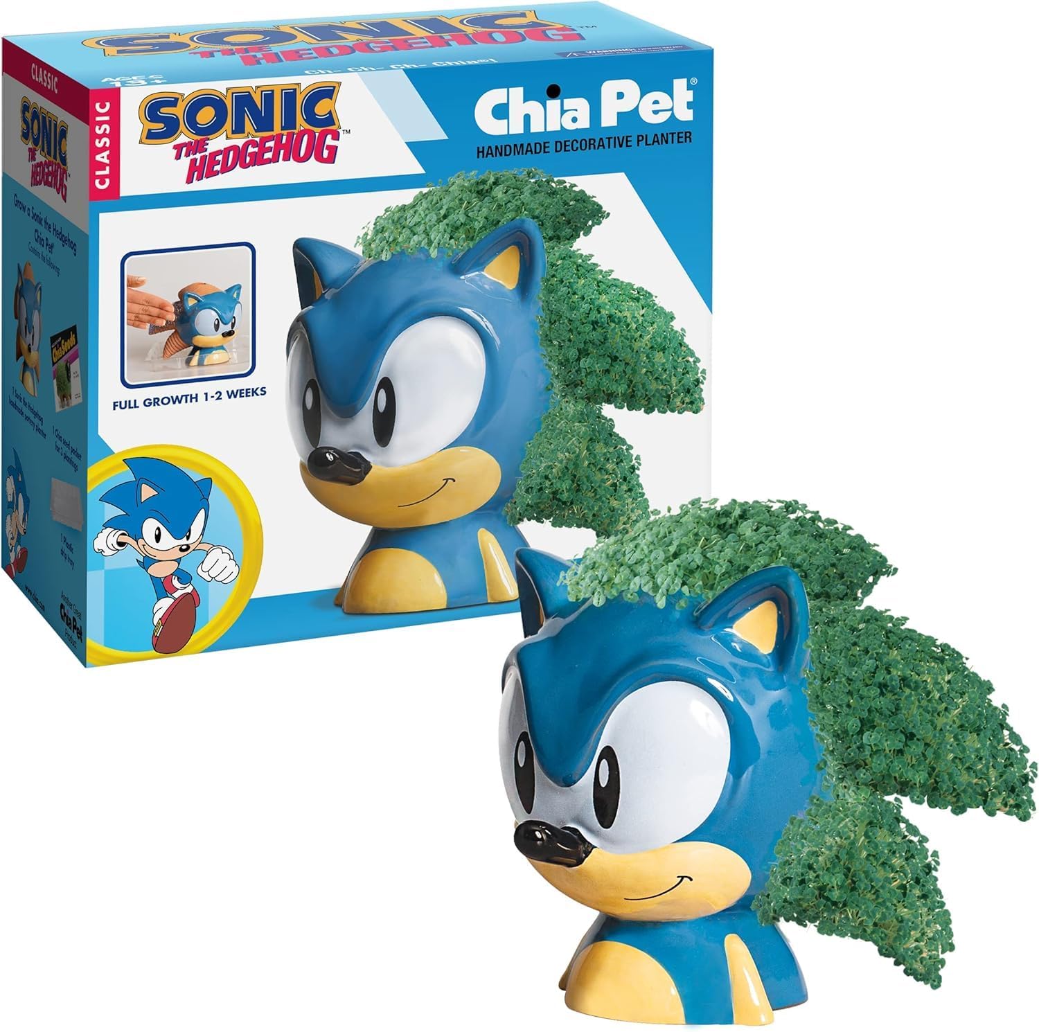 Amazon.com : Chia Pet Kevin - Minions with Seed Pack, Decorative ...