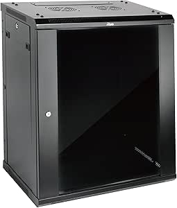 Amazon.com: Tecmojo Elite Collection 15U Wall Mount Server Cabinet IT Network Rack Enclosure ...