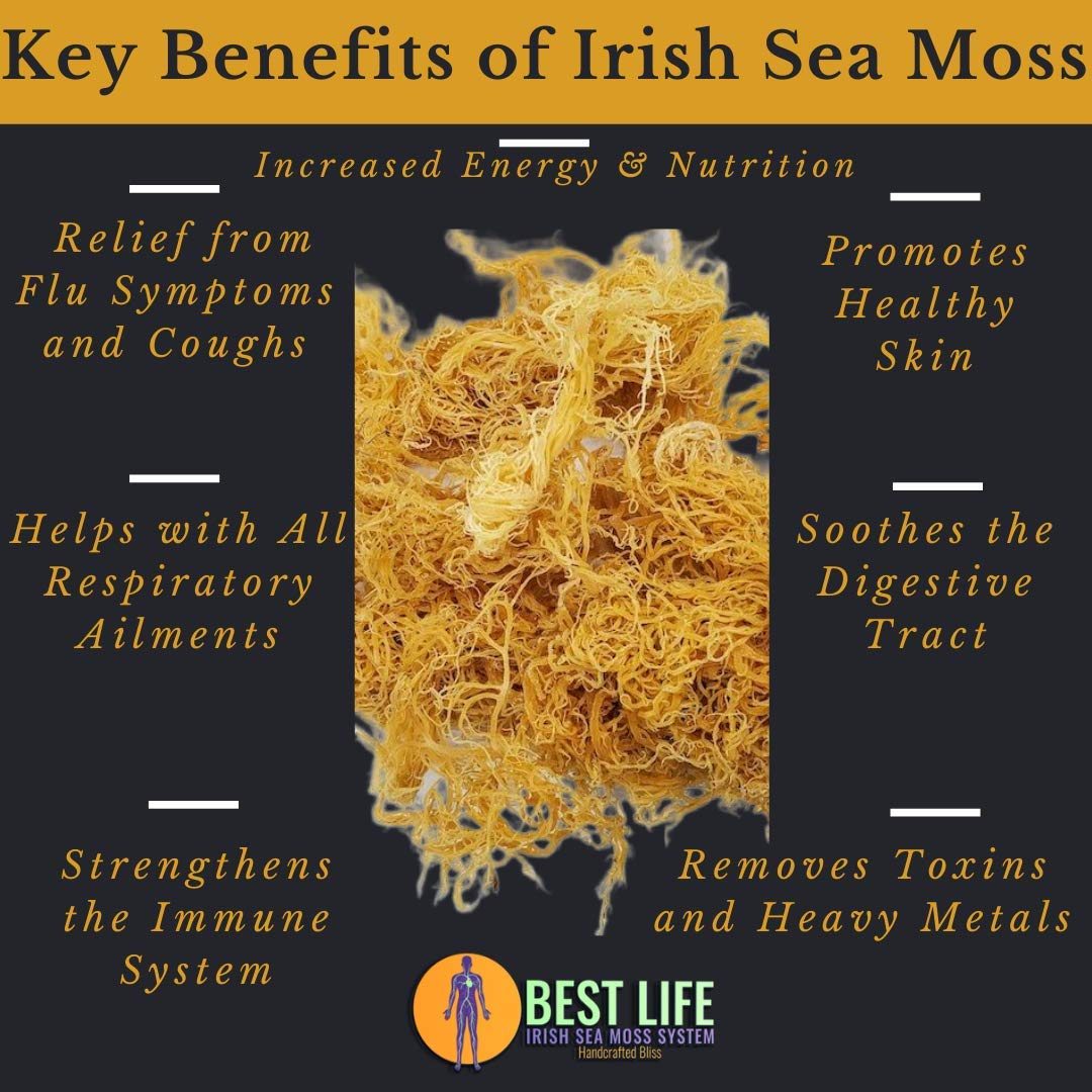Irish Moss Benefits