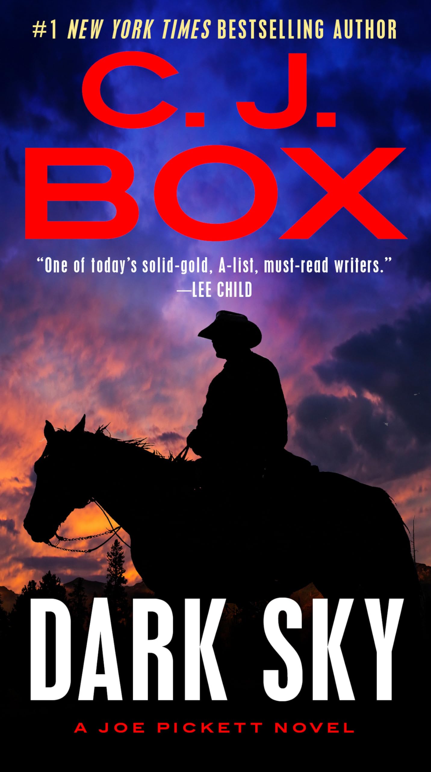 Dark Sky: Box, C. J.: 9780525538295: Books - Amazon.ca