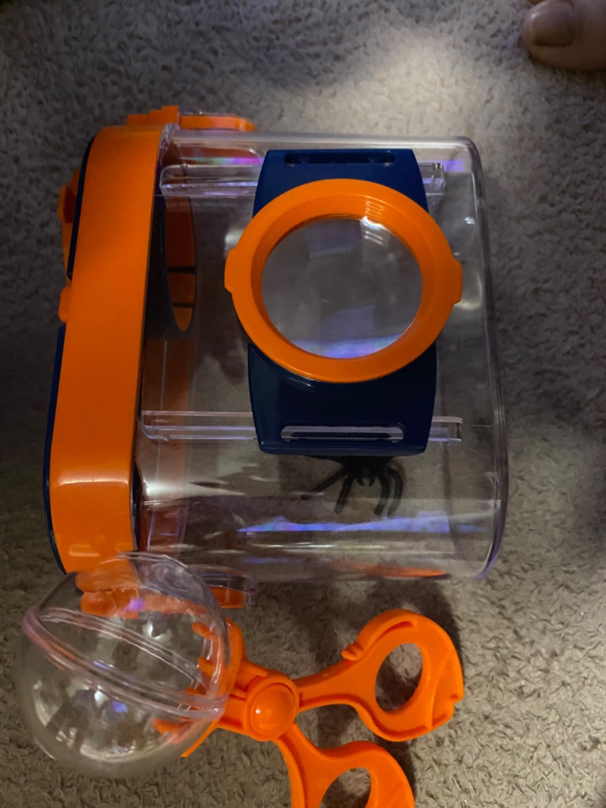 Amazon.co.jp: TOMMYFIELD 昆虫採集セット 虫かご 虫籠 拡大鏡 2.6倍 4.5倍 ケース レンズ : おもちゃ