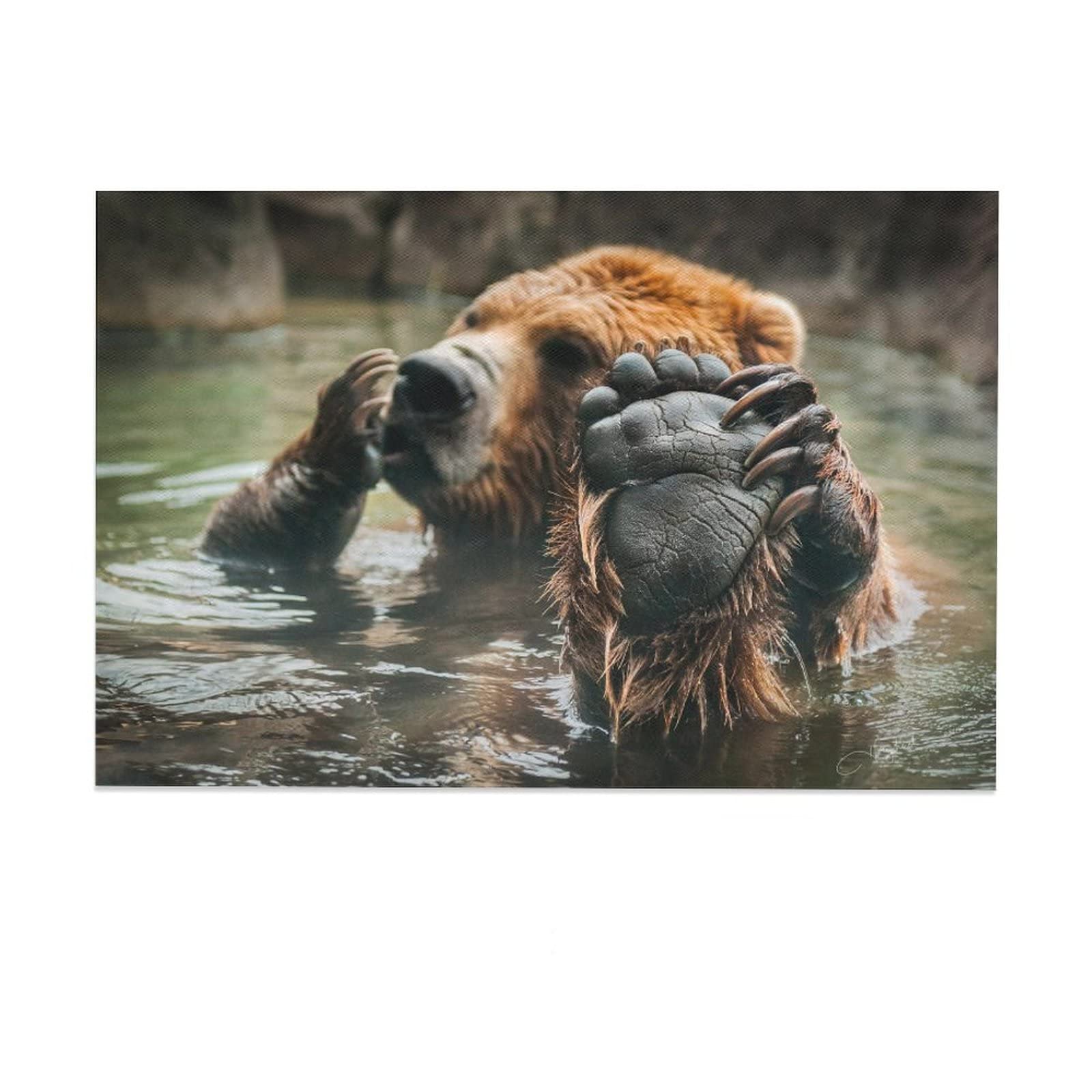 Dibujo De La Pata Del Oso Grizzly Patas De Oso Grizzly Marrón De