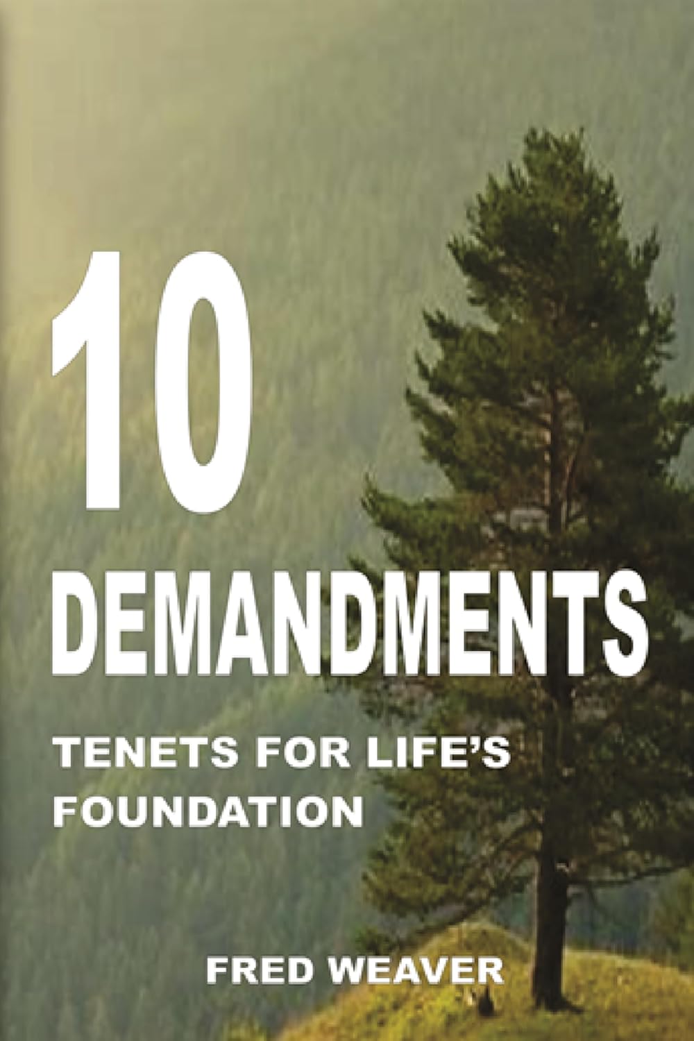 THE TEN DEMANDMENTS: Tenets For Life's Foundation - Kindle edition by ...